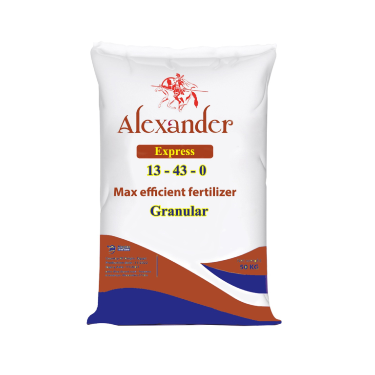 Alexander Express – Magico Free Zone